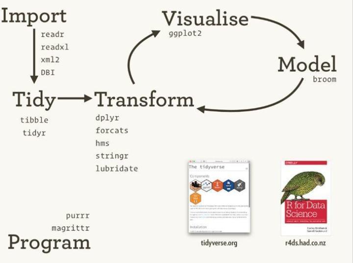 R入门？从Tidyverse学起！ - 知乎