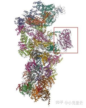 Nat Chem Biol: 通过直接招募26S蛋白酶体以降解靶蛋白 - 知乎