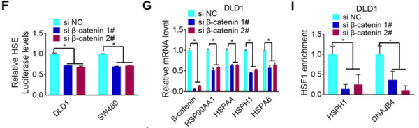 组会文献分享 -- miR455-3p 影响 HSF1 基因的 m6A 修饰参与结直肠癌的发生发展 - 知乎