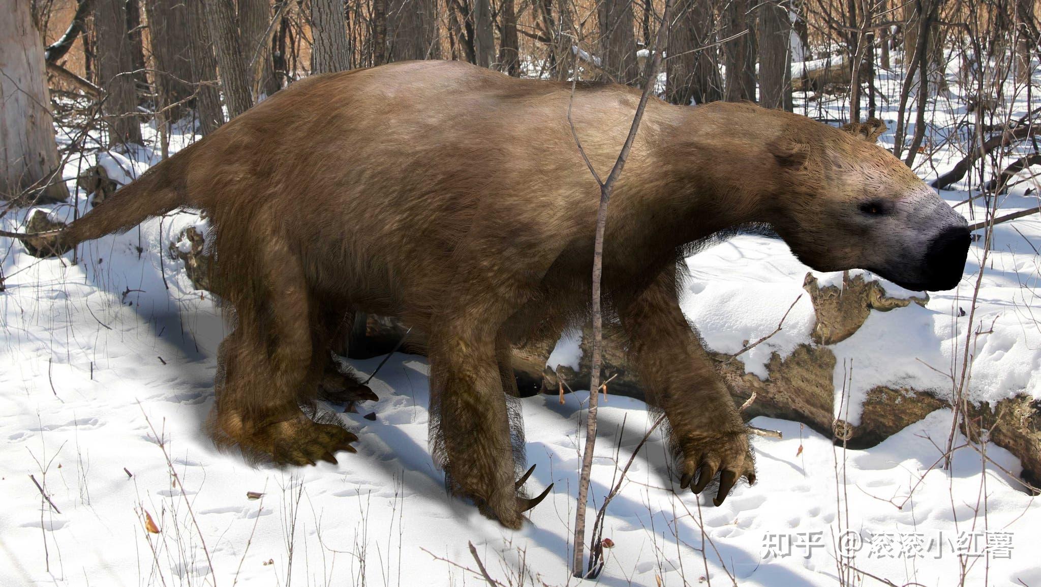 8种在北美洲漫游的冰河时期的巨型动物 - 知乎