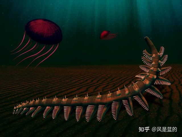 叶足动物门 Lobopodia的梳理 - 知乎