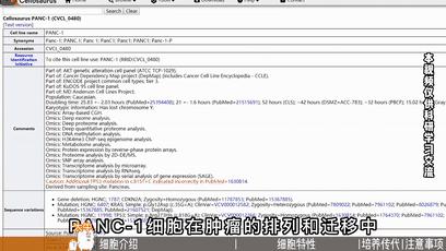 PANC-1细胞培养，人胰腺癌细胞培养攻略-丰晖生物 - 知乎