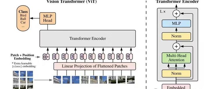 Vision Transformer 原理解析示例 - 知乎