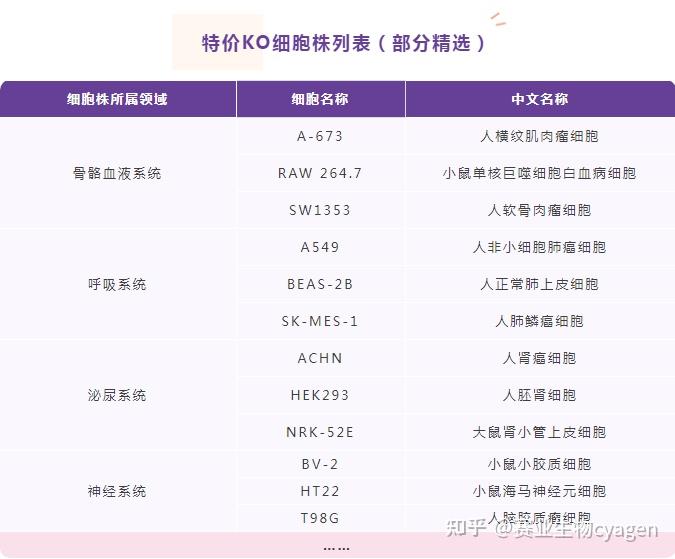 KO细胞株构建指南 - 知乎