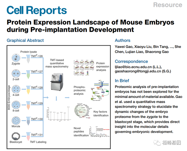 RNA 34. SCI 文章基因蛋白表达时间趋势分析及划分聚类群 (Mfuzz) - 知乎