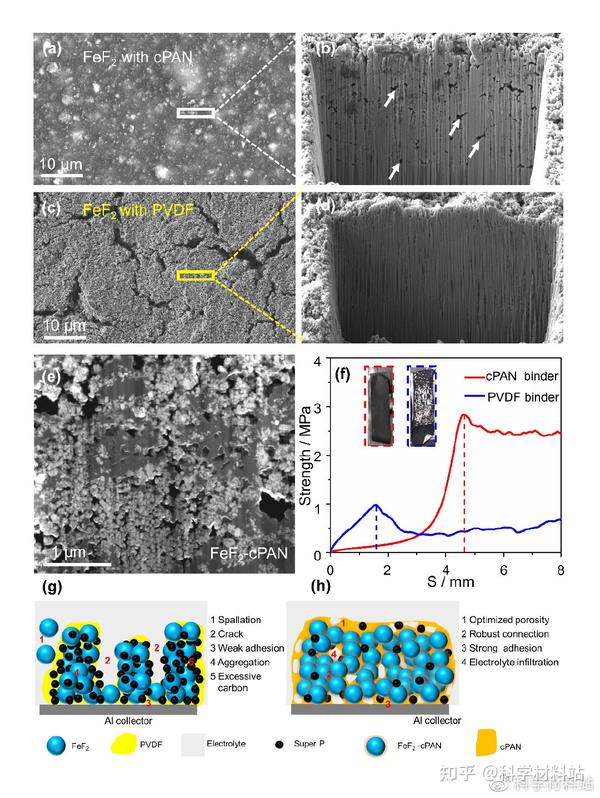 黄建宇团队EnSM：表面工程实现无粘结剂高性能FeF2正极基全电池的低温TEM研究 - 知乎