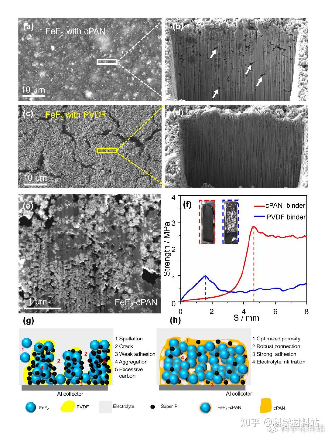 黄建宇团队EnSM：表面工程实现无粘结剂高性能FeF2正极基全电池的低温TEM研究 - 知乎
