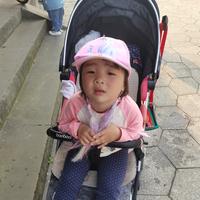 tvm or mlir ？ - 知乎