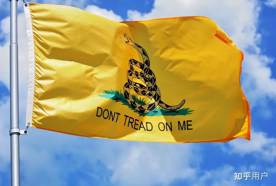 你见过/设计过哪些有趣的架空旗帜？ - 知乎