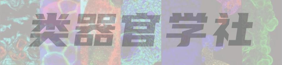 如何区分PDX/PDXO还是PDO/PDOX模型？ - 知乎