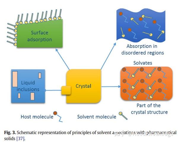 Pharmaceutical solvates, hydrates and amorphous forms: A special ...