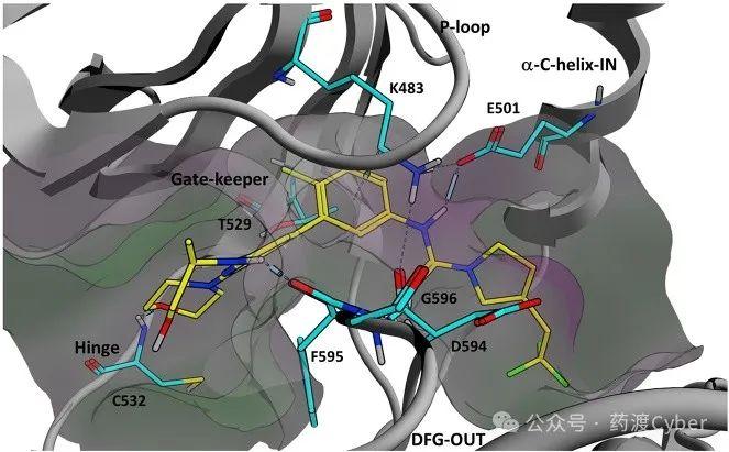解析克服泛RAF激酶抑制的挑战：Exarafenib（KIN-2787）的发现 - 知乎