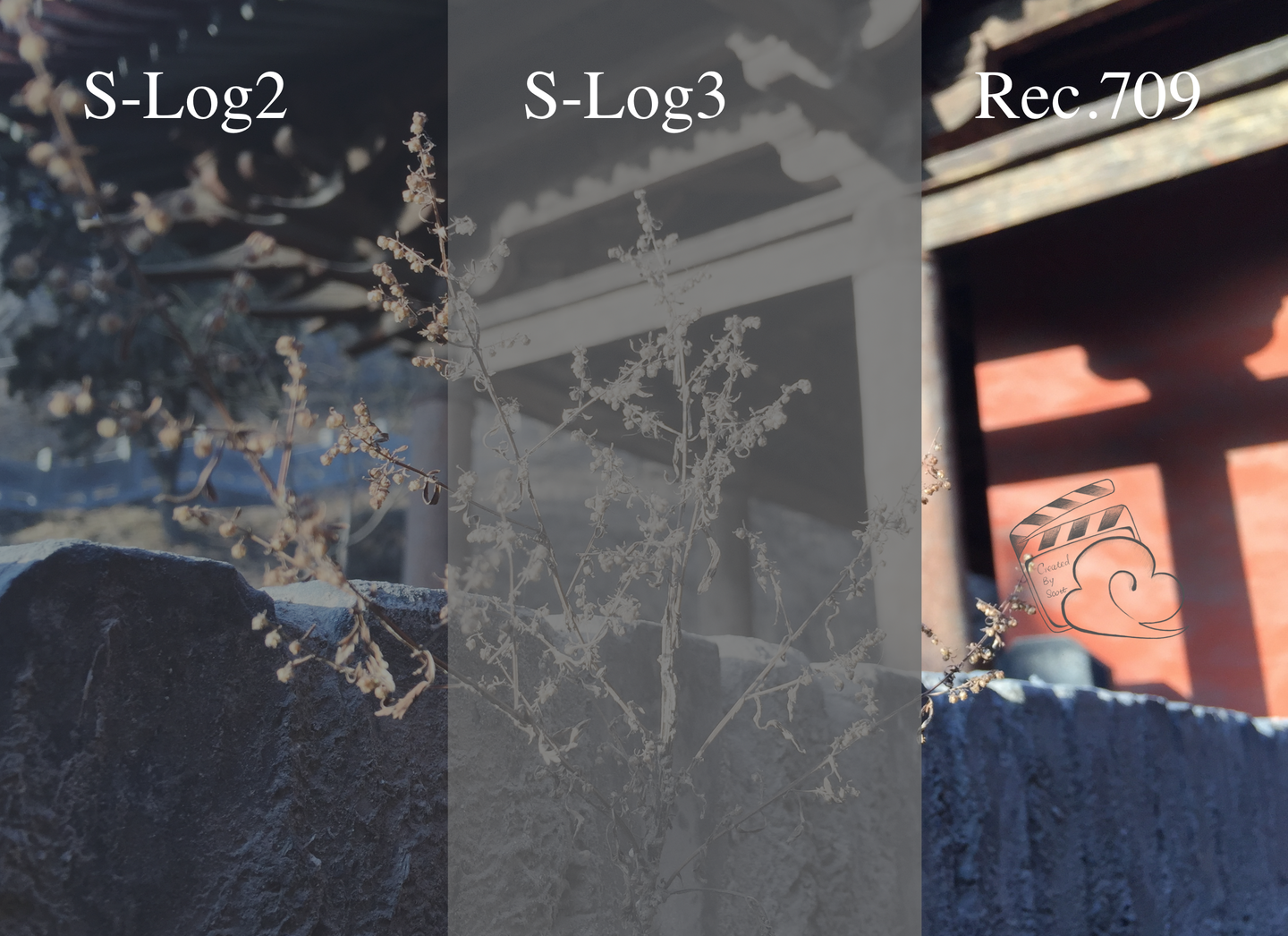 调色名词浅析——相机的 Log 模式 - 知乎