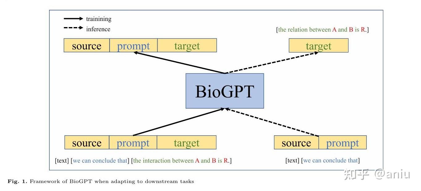 BioGPT: 用于生物医学文本生成和挖掘的生成性预训练transformer - 知乎