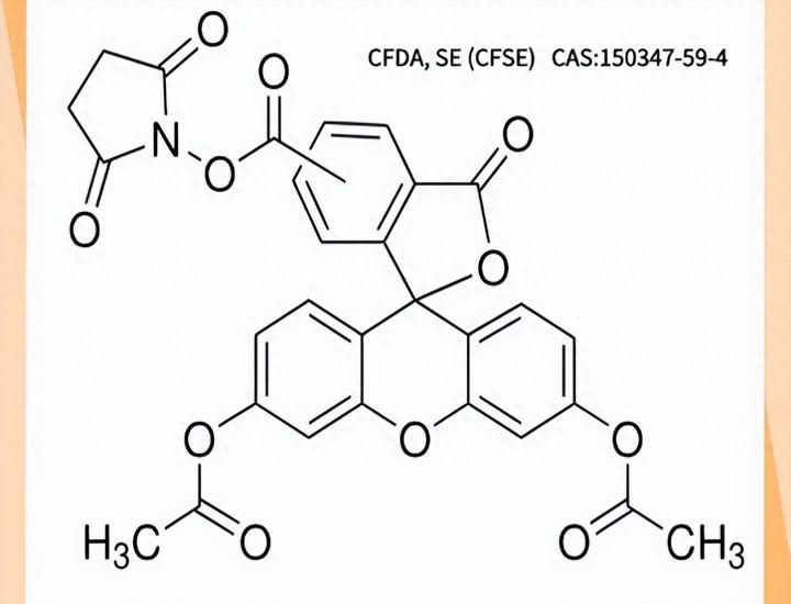 CFDA, SE是由两个醋酸基团和一个琥珀酰亚胺酯（SE）官能团组成的 - 知乎