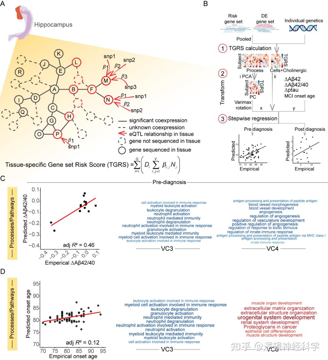Neurobiol Dis︱哈工大梁夏/蒋庆华课题组揭示轻度认知障碍患者中基底前脑功能连接异常的转录易感性机制 - 知乎