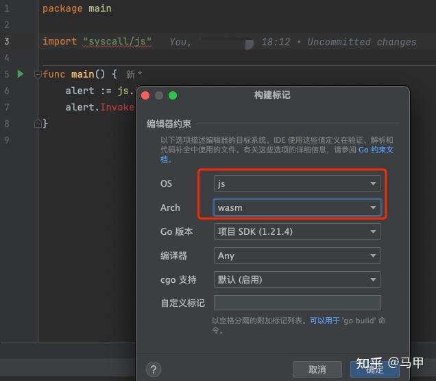 Wasm on Go - 知乎