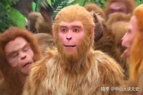 花果山猴子都不敢跳进水帘洞,孙悟空为何就敢?难怪他喊:大造化 知乎
