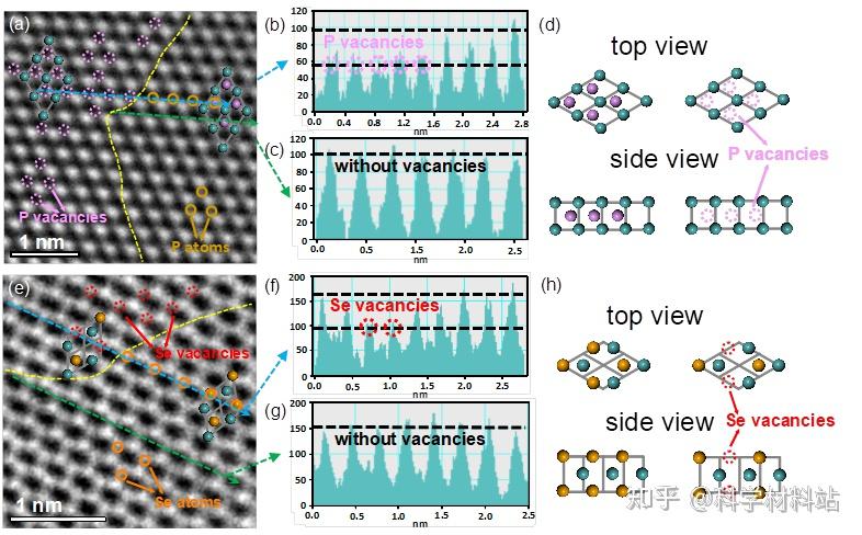 嘉兴学院李雷教授Small：“双空位”协同异质界面，高效产氢和产电 - 知乎