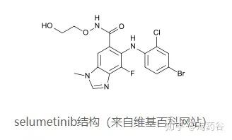 MEK抑制剂司美替尼上市 - 知乎