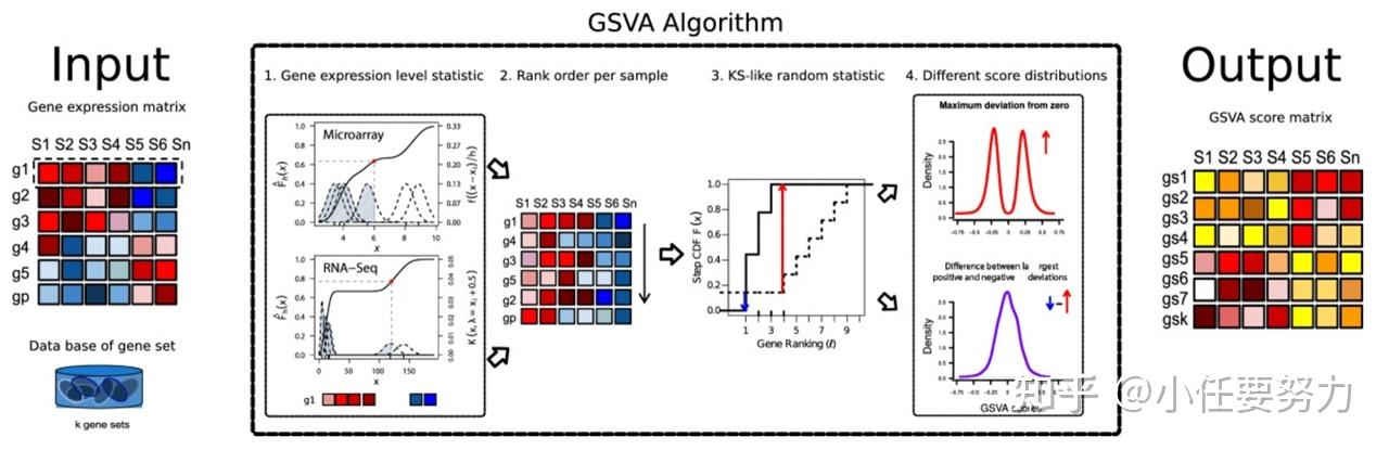 第三课：TCGA 数据下载&GSVA算法分析 - 知乎