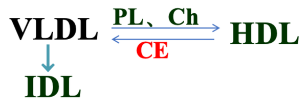 生化与分子生物学——代谢篇之脂质代谢 - 知乎