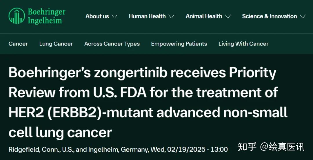 「宗艾替尼」获FDA加速批准！用于HER2激酶结构域突变晚期经治非鳞非小细胞肺癌 - 知乎