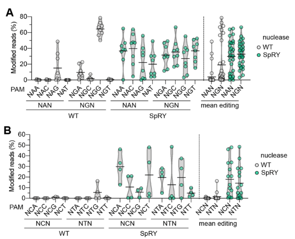 Science | 摆脱PAM困扰—Cas9强势升级获得基因编辑新利器SpRY - 知乎
