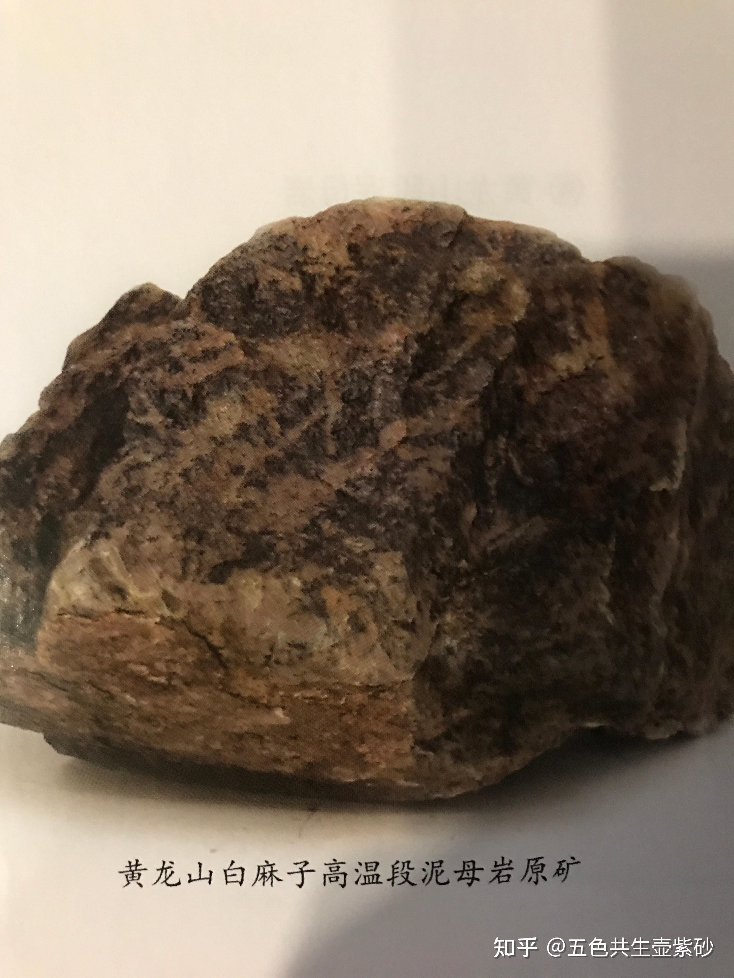 黄龙山白麻子高温段泥母岩的情况？ - 知乎