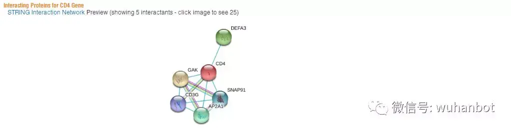 如何使用genecards进行基因和蛋白信息查询？ - 知乎