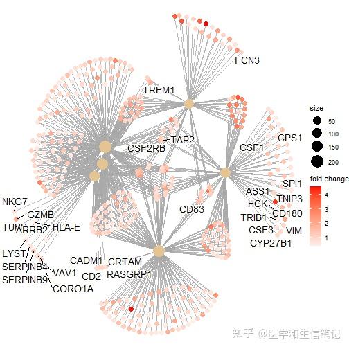 enrichplot富集分析可视化 - 知乎
