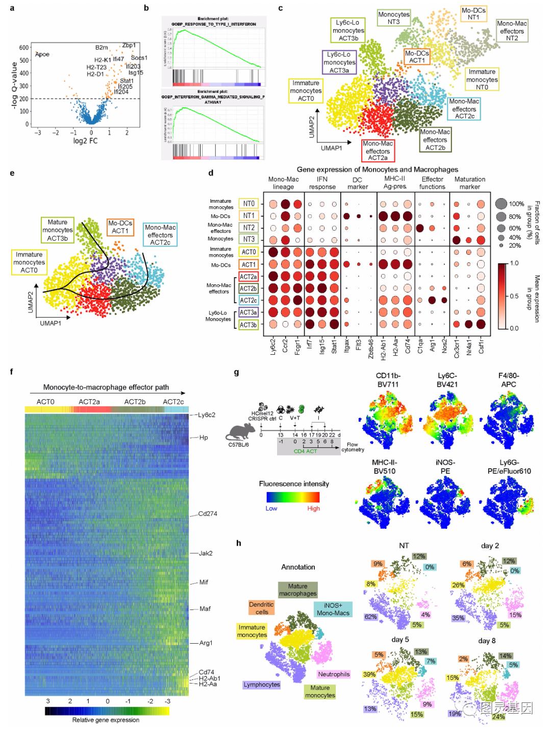Nature | CD4+ T细胞诱导的炎症细胞死亡控制肿瘤免疫逃避 - 知乎