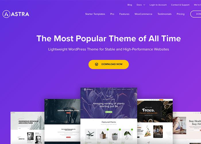 推荐20款受欢迎的Astra免费主题和案例效果 - 知乎