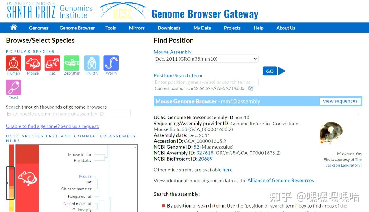 UCSC Genome Browser 使用之本地数据上传CyVerse或Github - 知乎