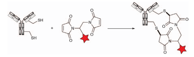 ADC的偶联技术 - 知乎