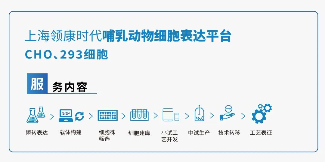 【领康时代CDMO】早研阶段的成药性分析对药物CMC的重要性【二】 - 知乎