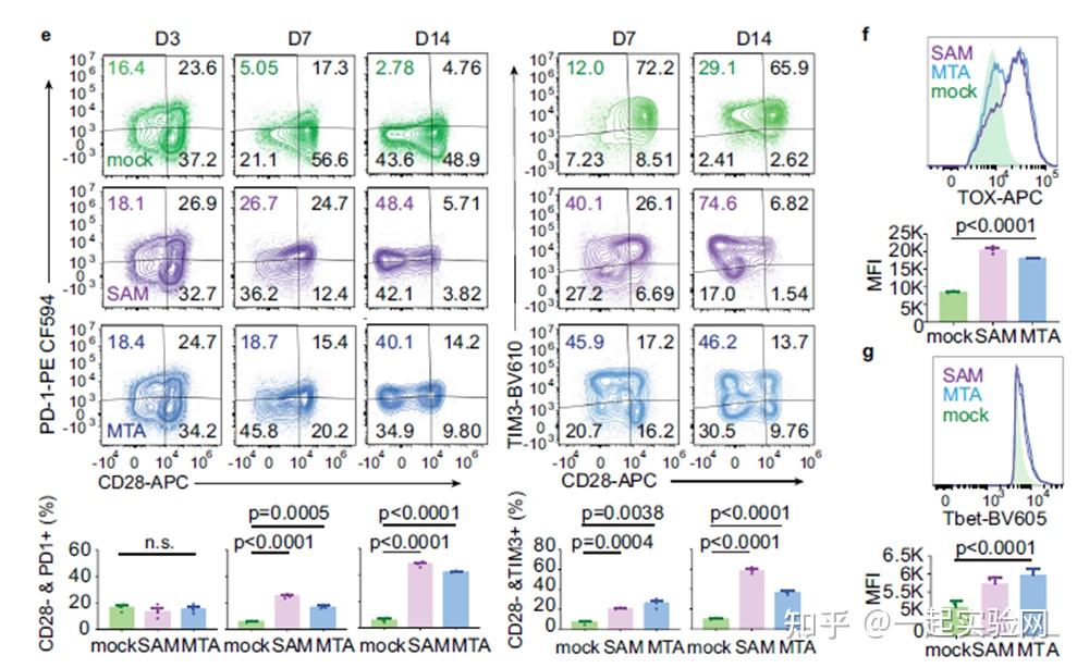 肿瘤蛋氨酸代谢驱动肝细胞癌T细胞耗竭 - 知乎