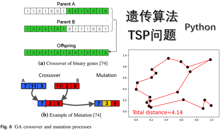 [1] 遗传算法--附Python代码 - 知乎