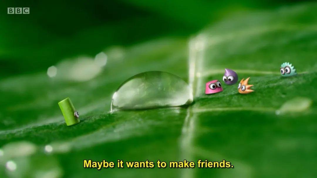BBC科普动画《Tiny Wonders》小奇迹，教娃学会观察、探索自然界小奇观，换个角度去观察世界，认知世界~ - 知乎