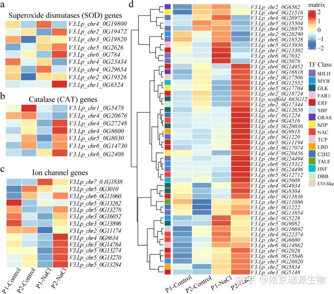 一文详解转录因子研究策略（上） - 知乎