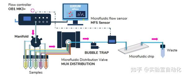 Elveflow 微流控系统进行动态细胞培养 - 知乎