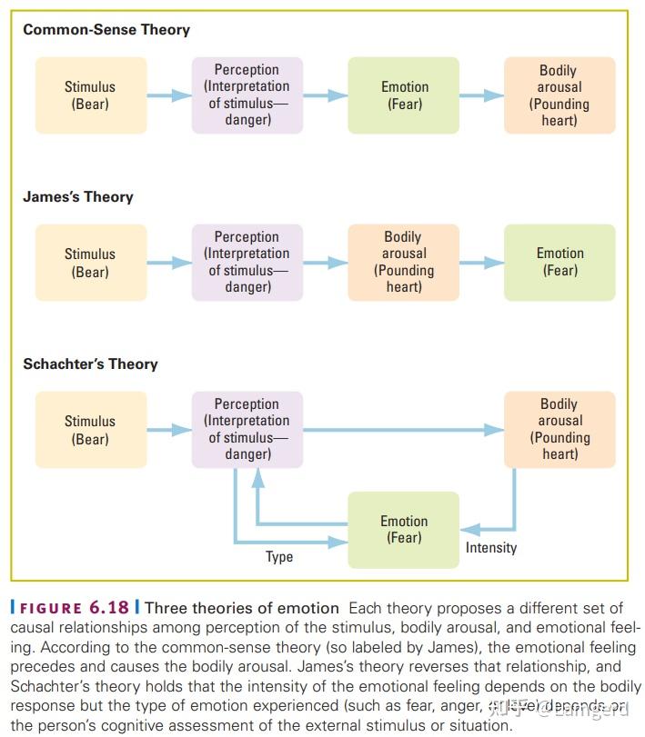 Yale PSYC110——心理学导论11 Evolution, Emotion, and Reason: Emotions, Part II ...