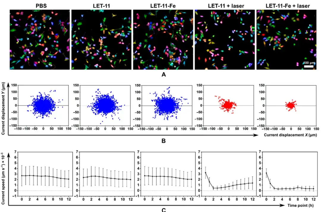 HCS前沿丨高内涵细胞成像与分析系统助力微纳米材料在生物医学领域的研究 - 知乎