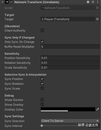 【Mirror Networking】文档学习笔记 - 知乎