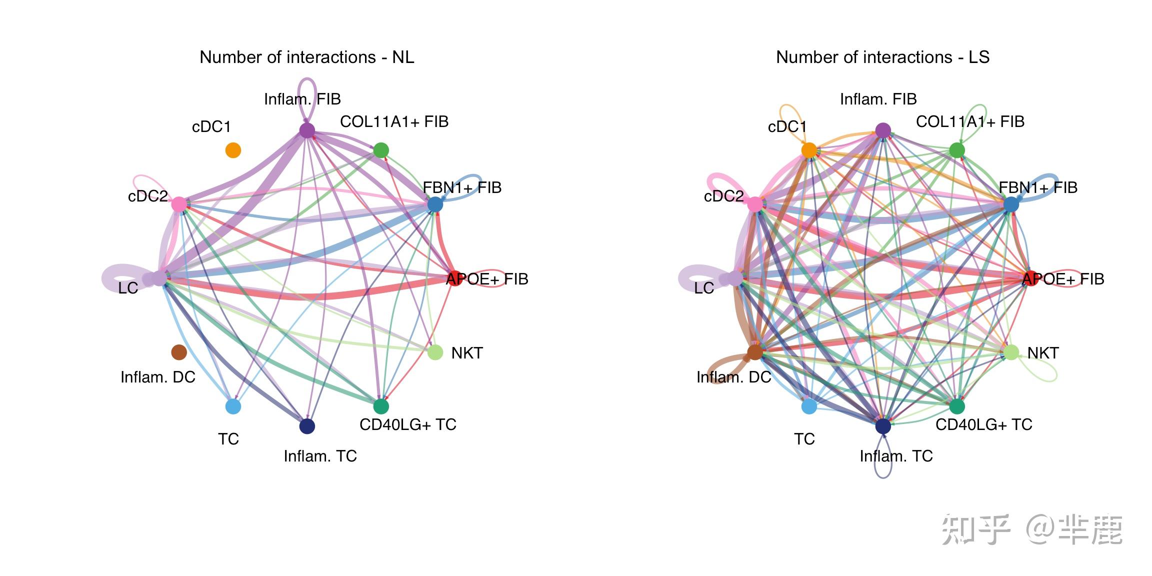 CellChat细胞通讯分析（下）--实操代码·多个数据集比较分析 - 知乎