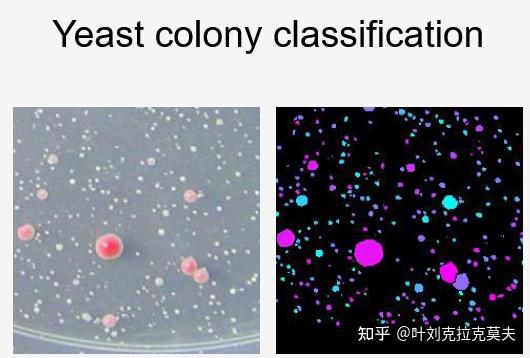 开源科学工程技术软件介绍59 – 细胞图像分析软件CellProfiler - 知乎