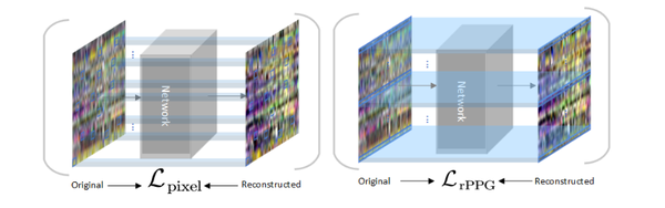 【rPPG论文阅读】rPPG-MAE: Self-supervised Pre-training with Masked ...
