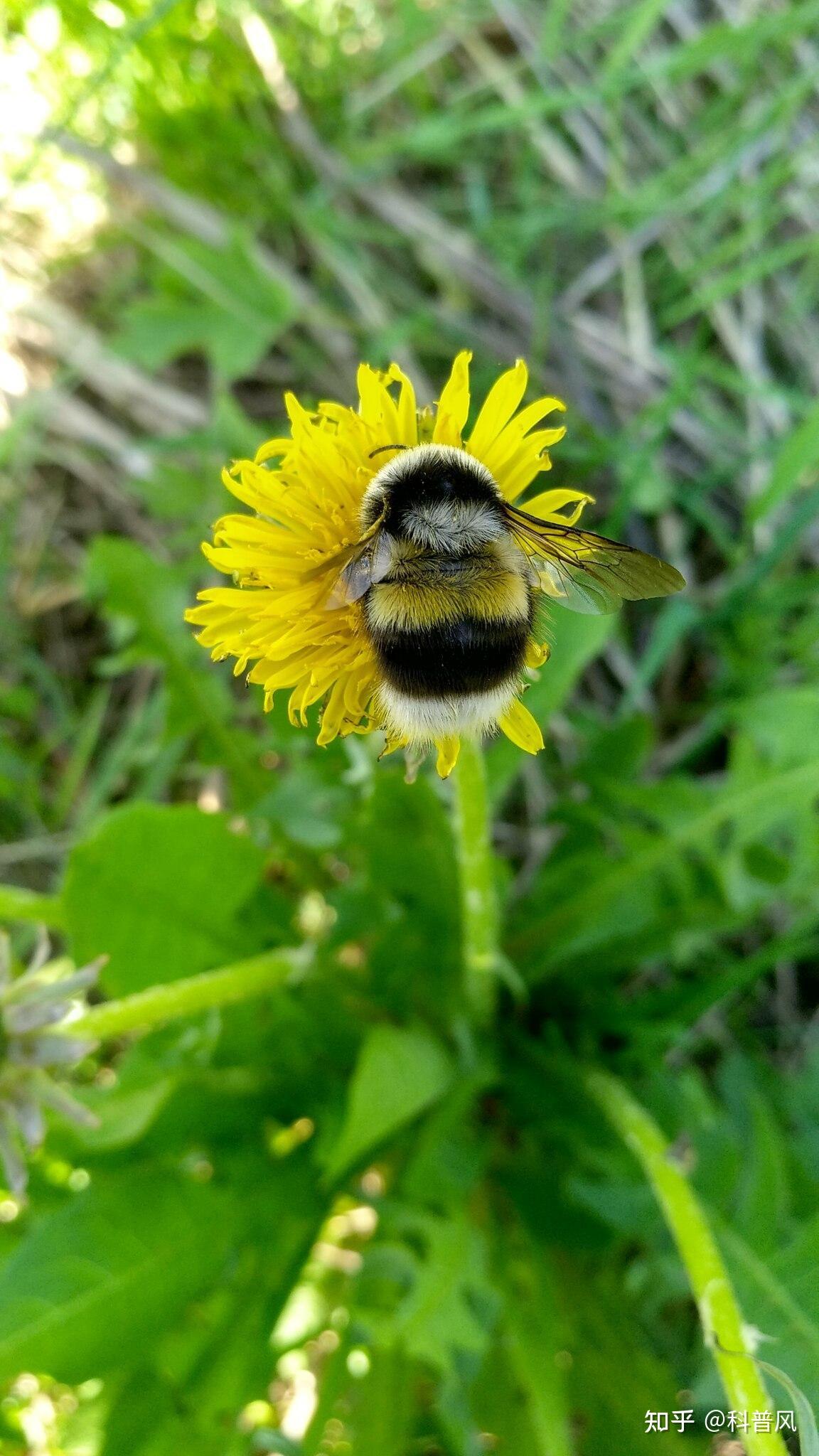 睡使惩崩——伦清 - 知乎