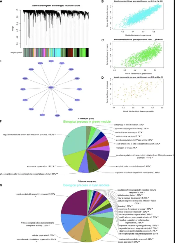 Front Aging Neurosci：帕金森病潜在关键免疫细胞类型和基因 - 知乎