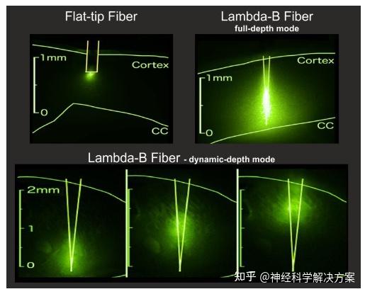 Cambridge NeuroTech电极硅神经探针 - 知乎
